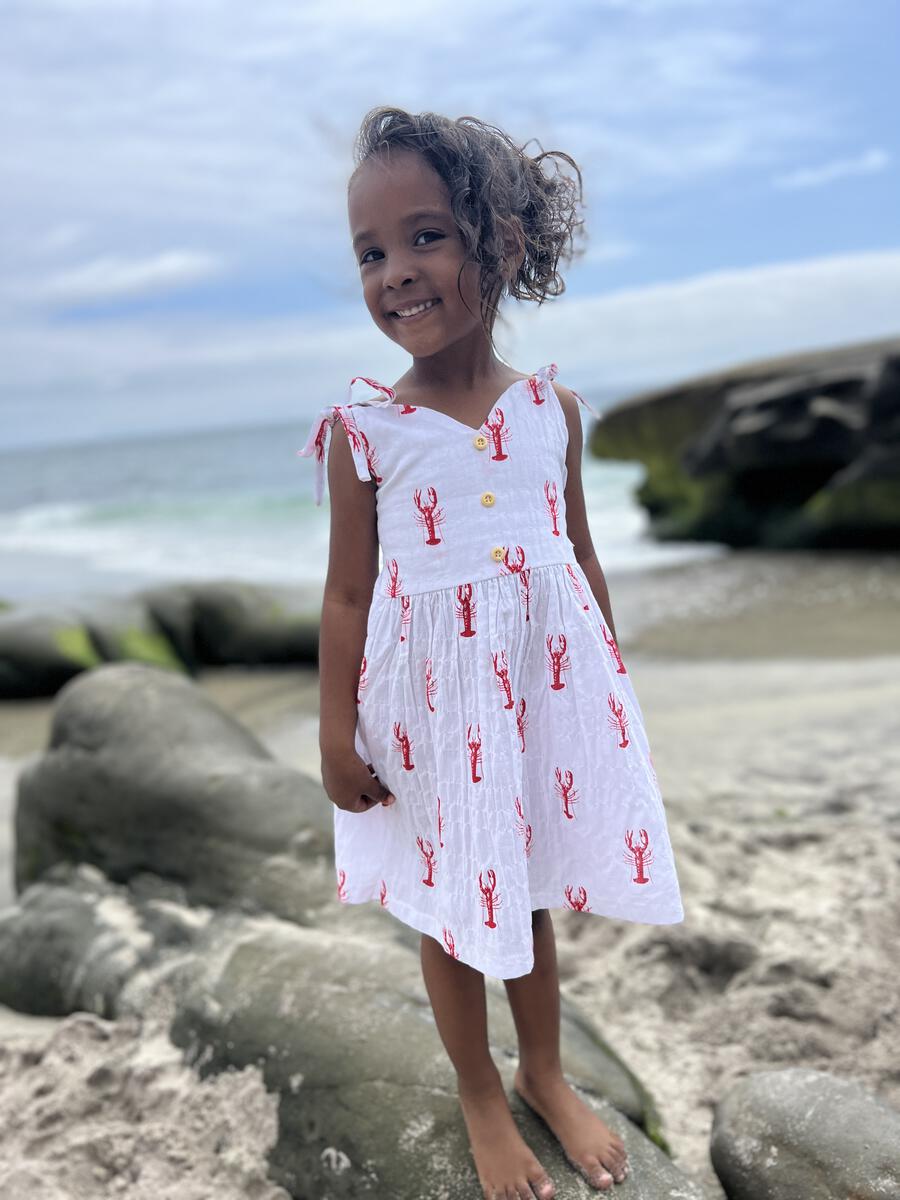 Vignette Penny Dress in Lobsters – Lively Kids